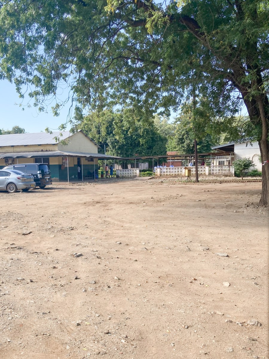 From the Mouths of Babes